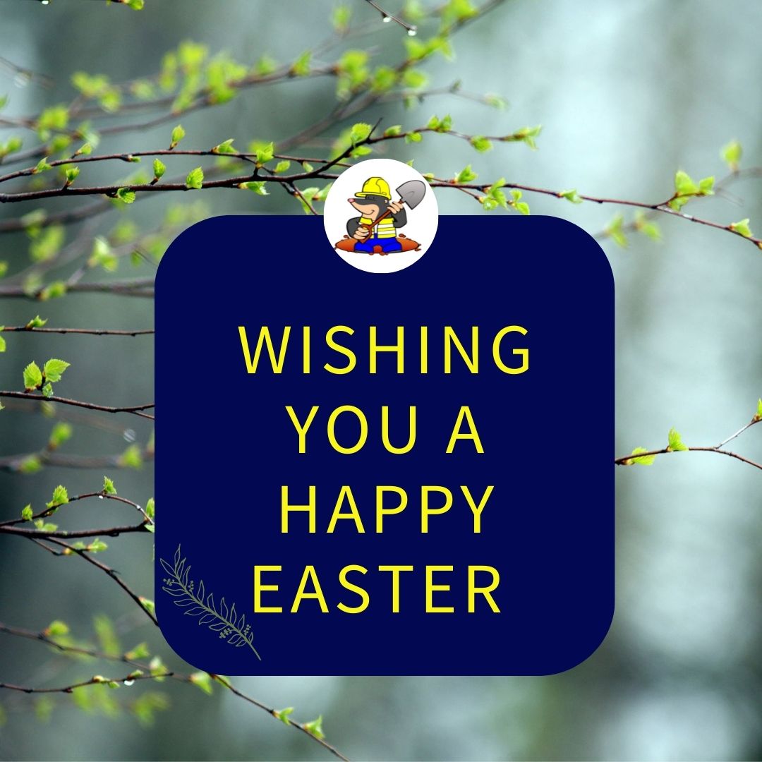 Latest News – Rolkon